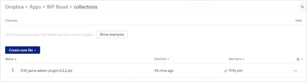 WP Reset Pro - A Power Tool for Site Builders - WebTNG