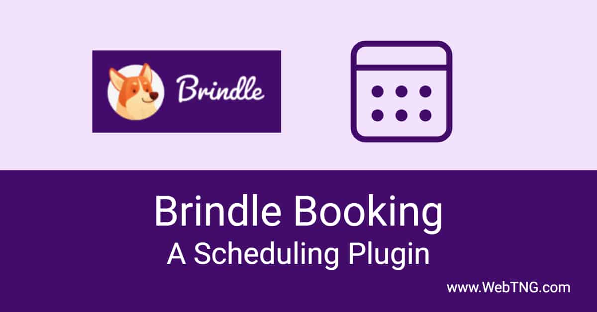 Brindle Booking: A Scheduling Plugin - WebTNG