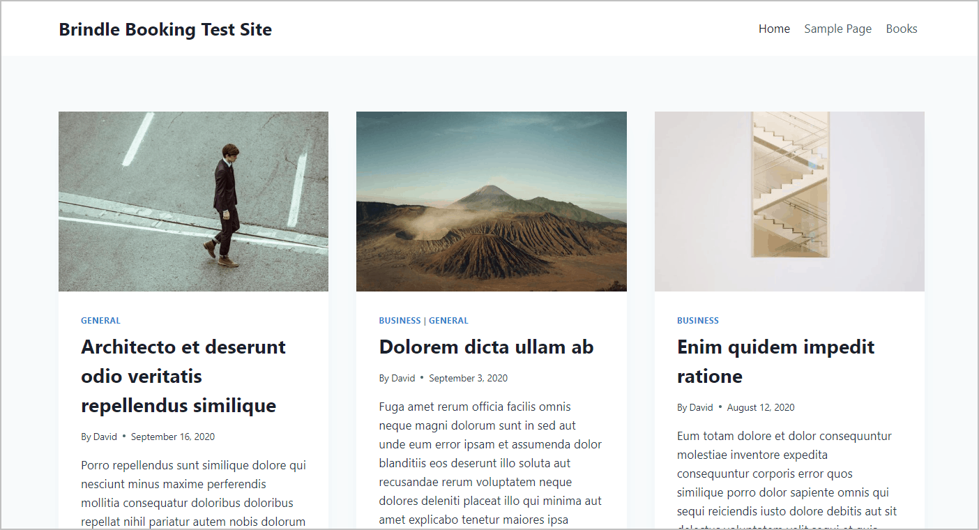 Brindle Booking: A Scheduling Plugin - WebTNG