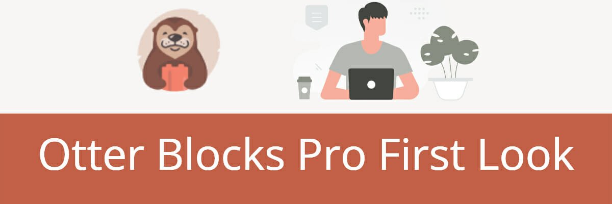 Otter Blocks Pro First Look - WebTNG