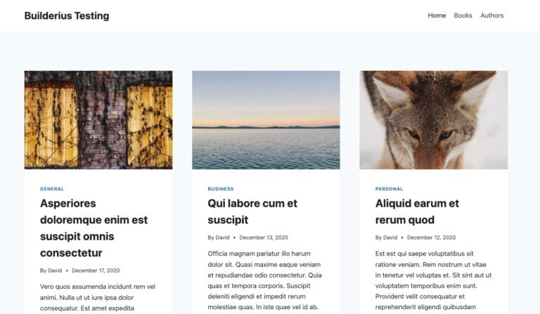 Second Look at Builderius Pro - WebTNG